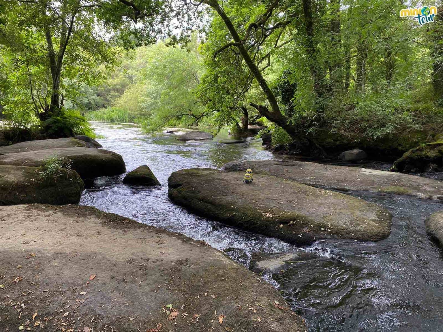 Ruta por la Ínsua de Seivane y su puente colgante - MiniOnTour