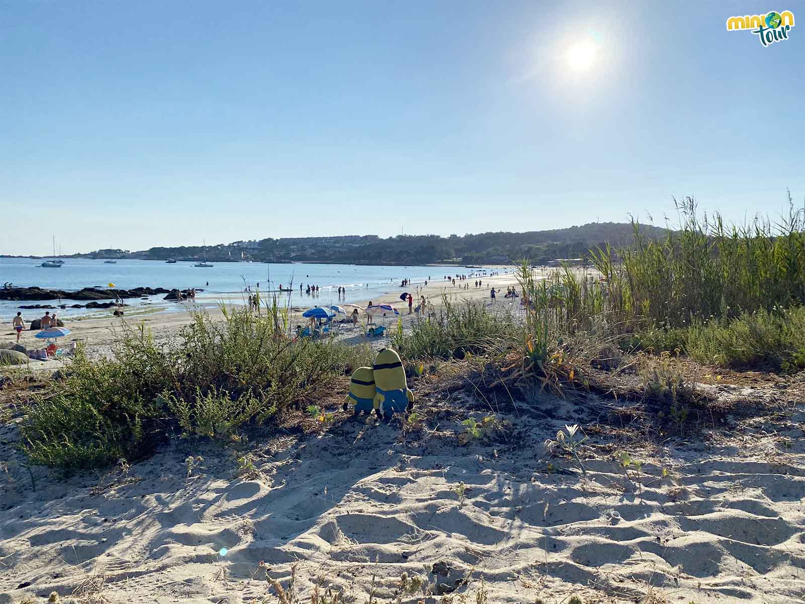 Tour o grove | Castellontours.com