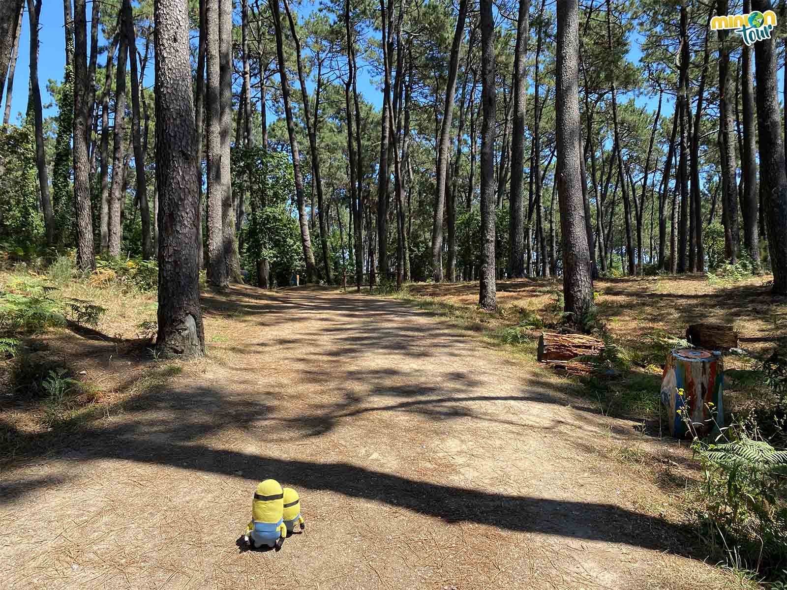 La Aldea de los Grobits, el mundo mágico de A Illa da Toxa