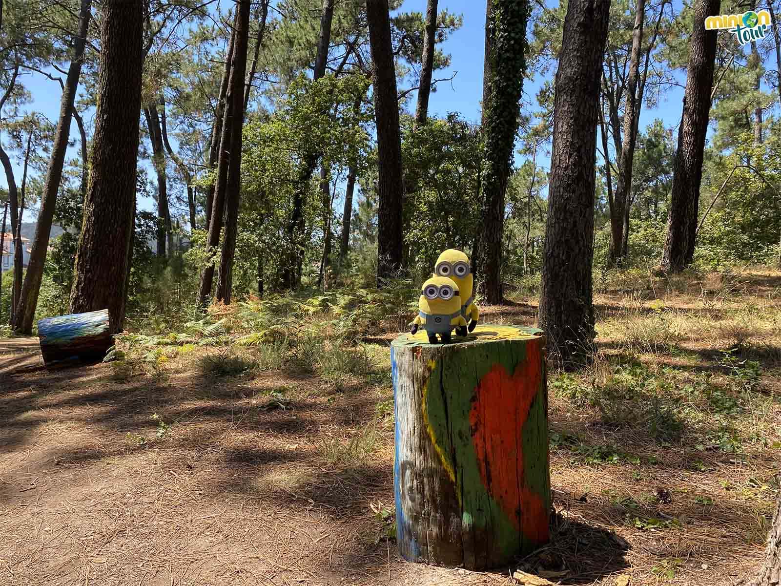 La Aldea de los Grobits, el mundo mágico de A Illa da Toxa