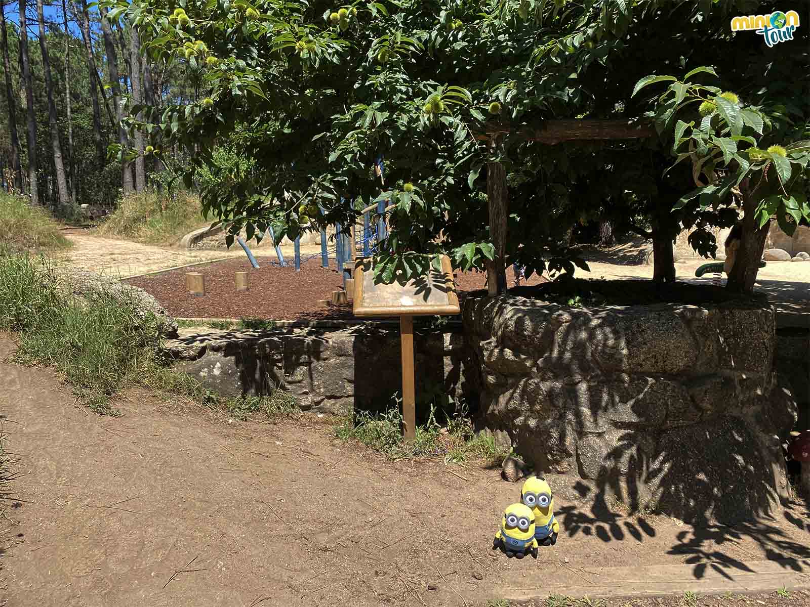 La Aldea de los Grobits, el mundo mágico de A Illa da Toxa