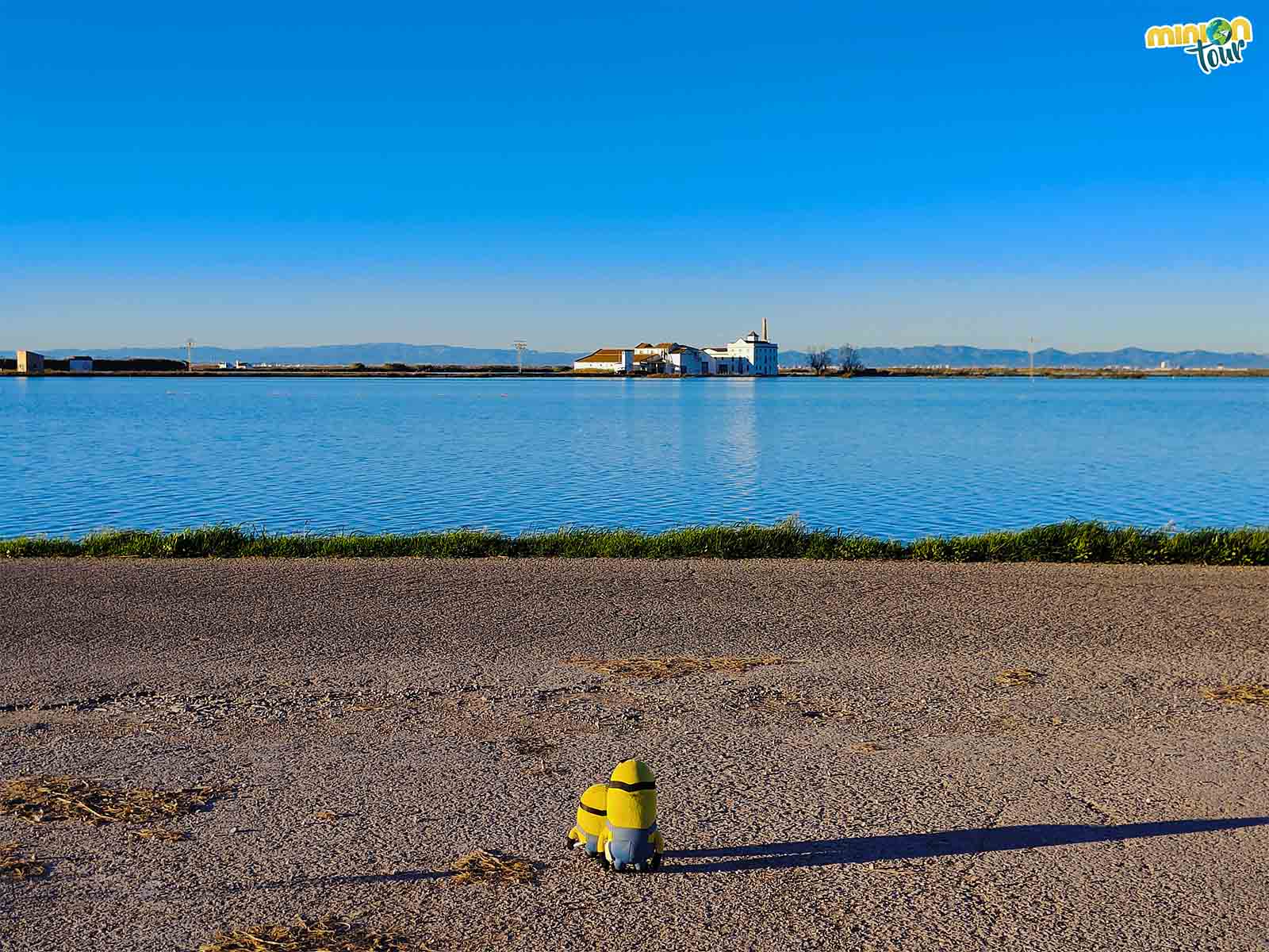 El Palmar de Valencia, qué ver en esta isla de la Albufera