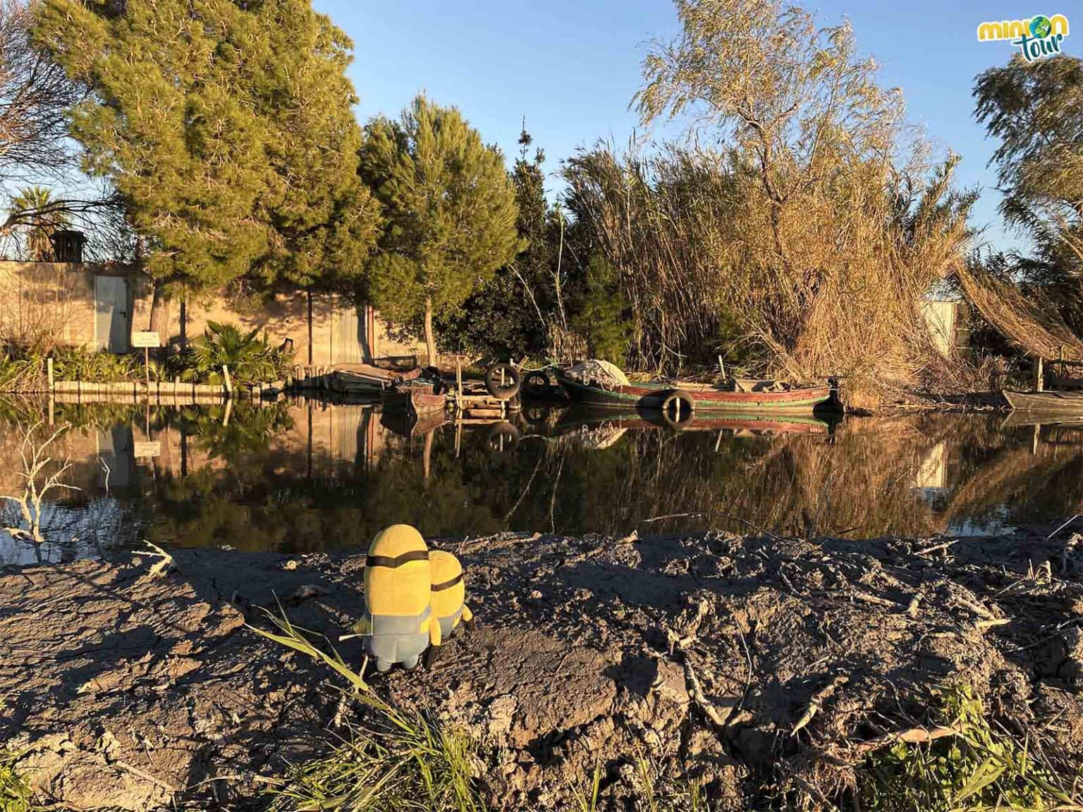 El Palmar de Valencia, qué ver en esta isla de la Albufera