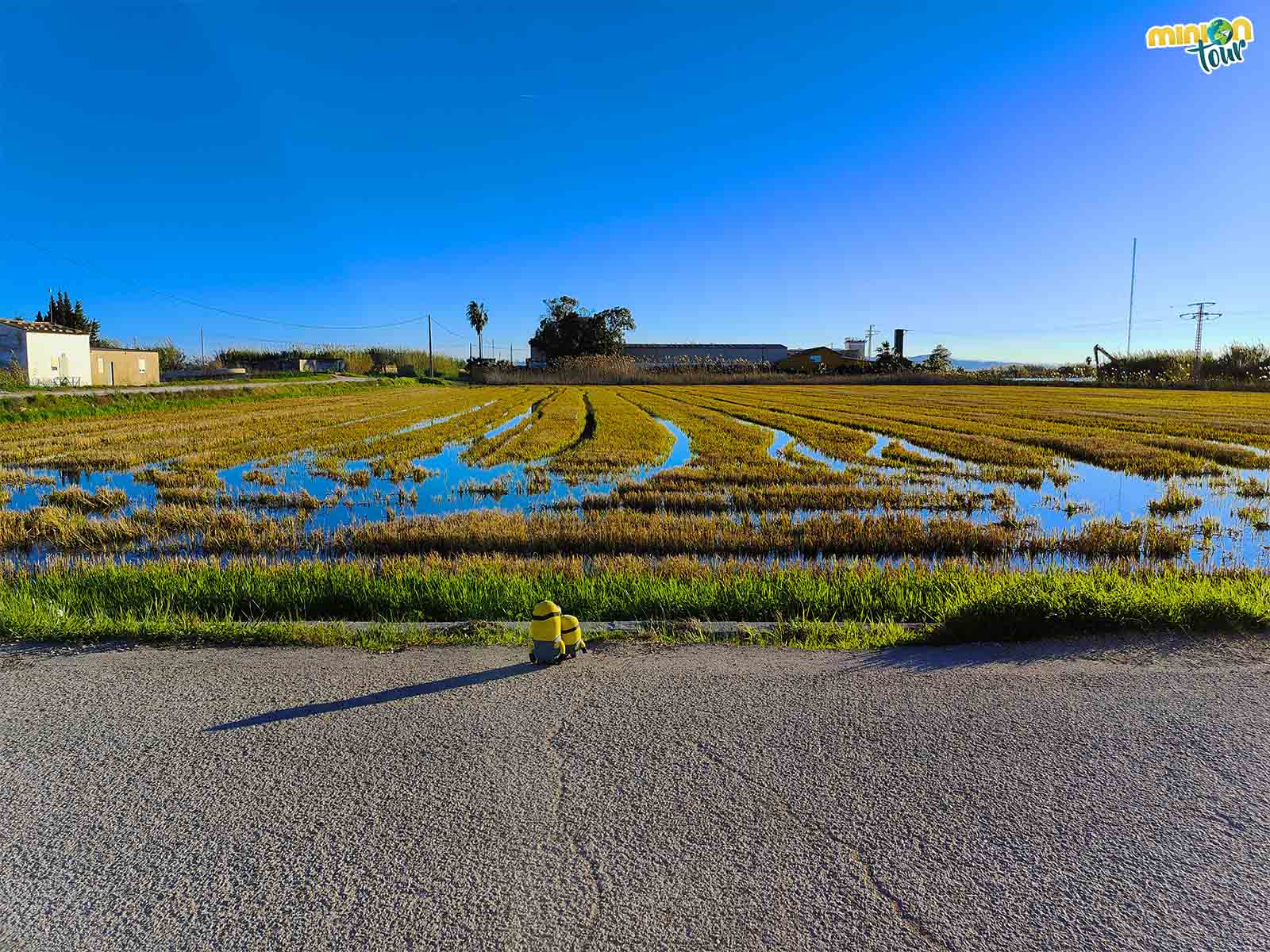 El Palmar de Valencia, qué ver en esta isla de la Albufera