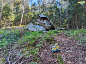 Visita a la Isla de Tambo, la isla más secreta de Galicia