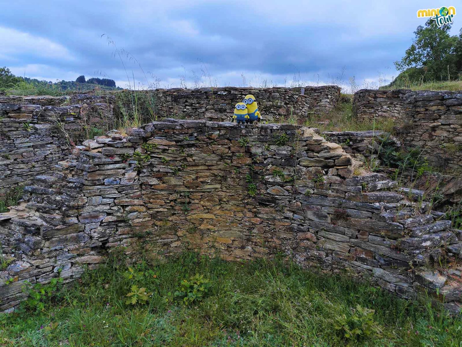 El Castro de Santa María de Cervantes en Os Ancares