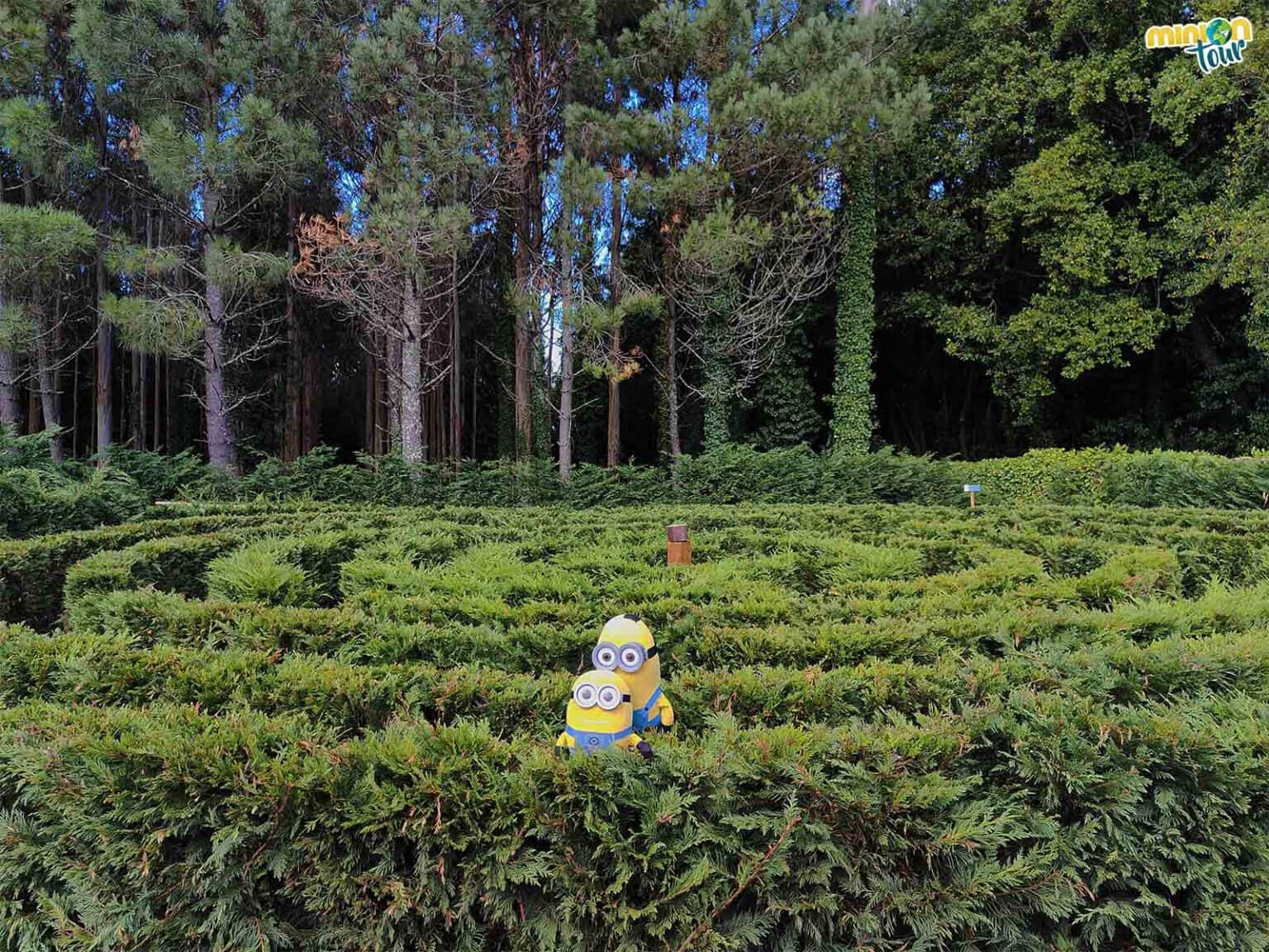 El Labirinto de Breoghán, un laberinto muy celta en Galicia - MiniOnTour