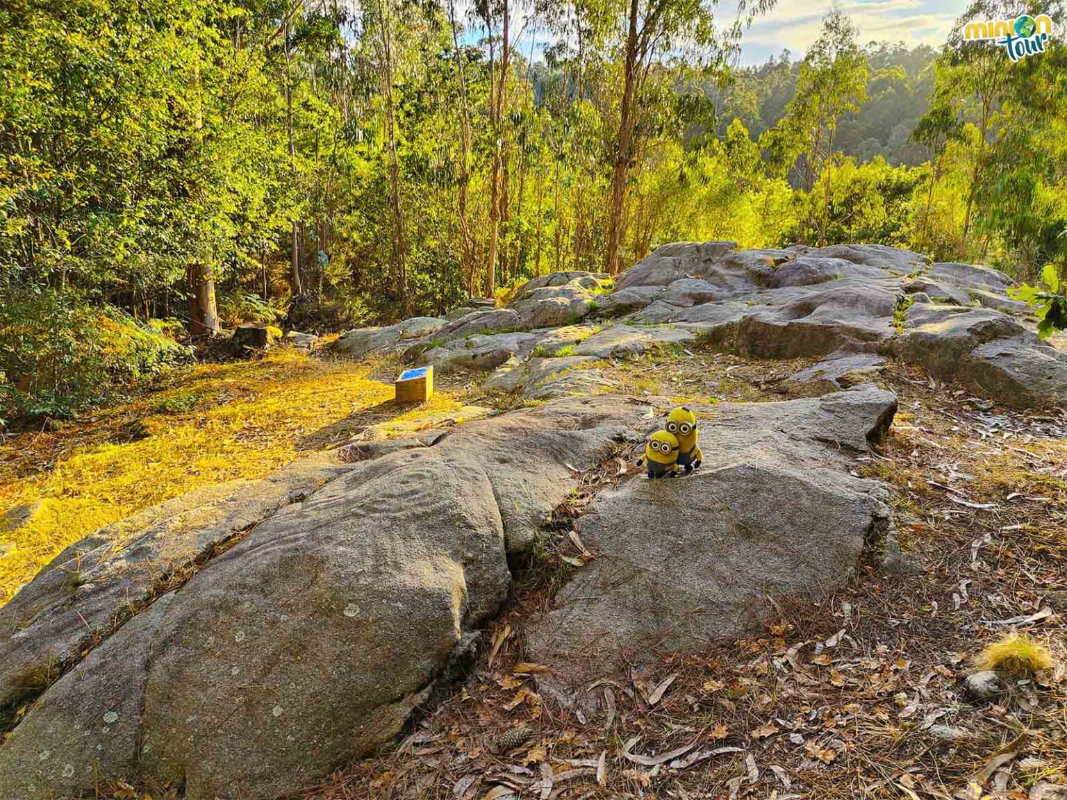 El Labirinto de Breoghán, un laberinto muy celta en Galicia - MiniOnTour