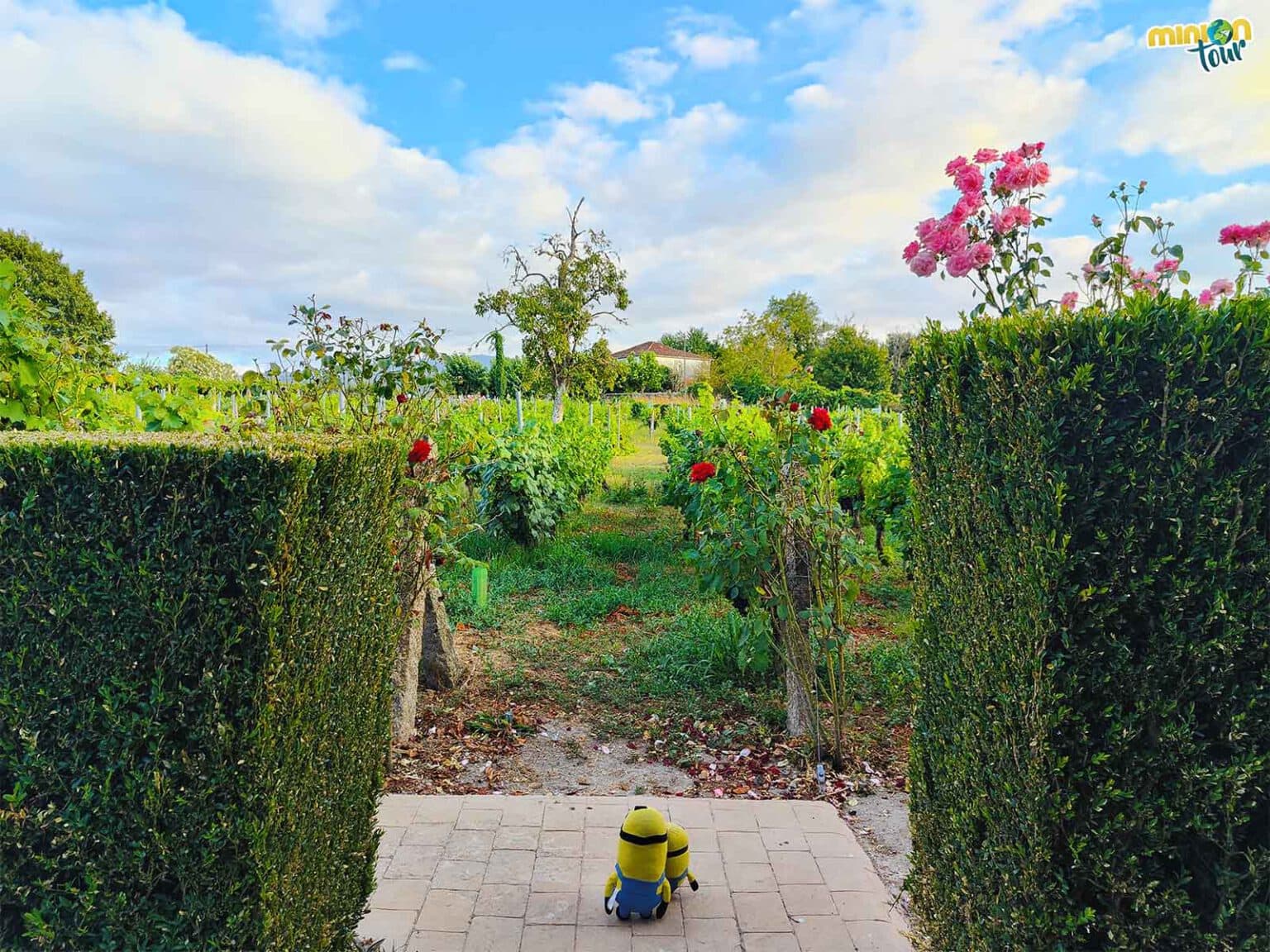 La Casa Grande de Rosende, un pazo para vivir la Ribeira Sacra