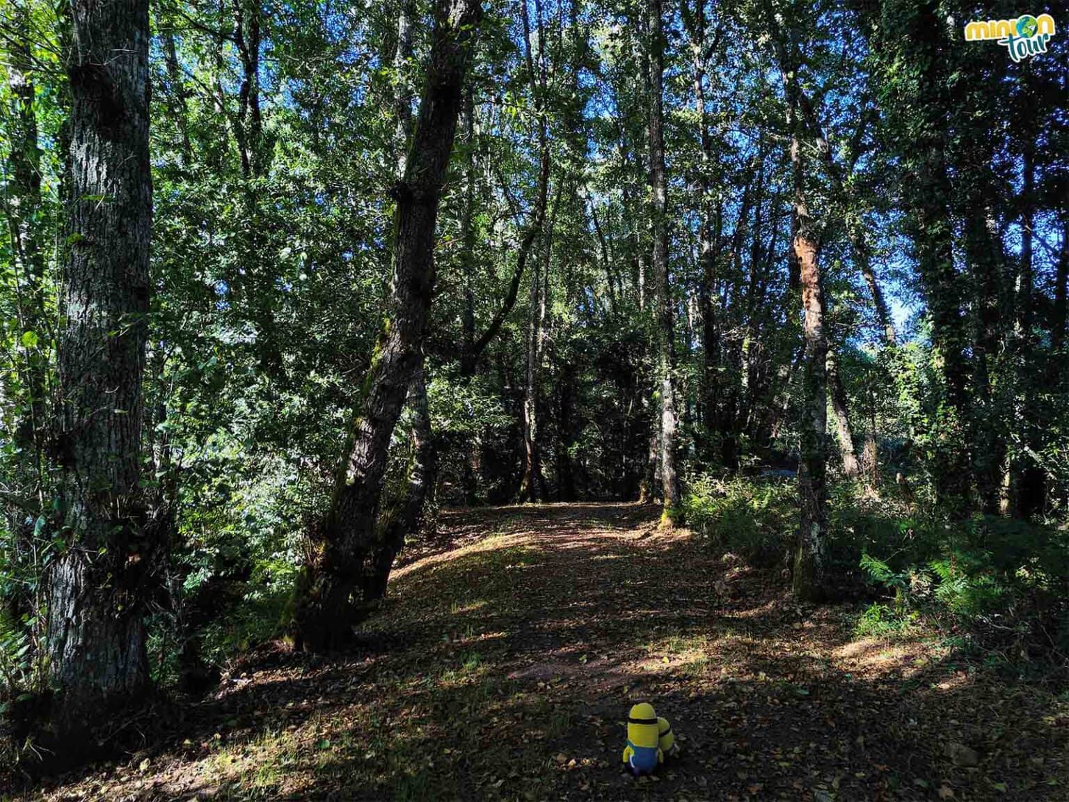 Qué ver en A Peroxa, un rincón oculto de la Ribeira Sacra - MiniOnTour