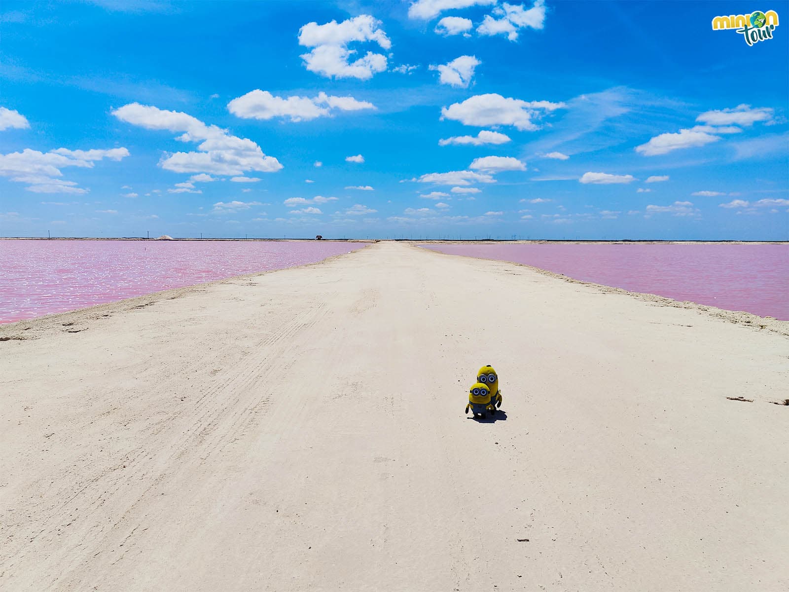 Las Coloradas, visita uno de los sitios más mágicos de Yucatán - MiniOnTour
